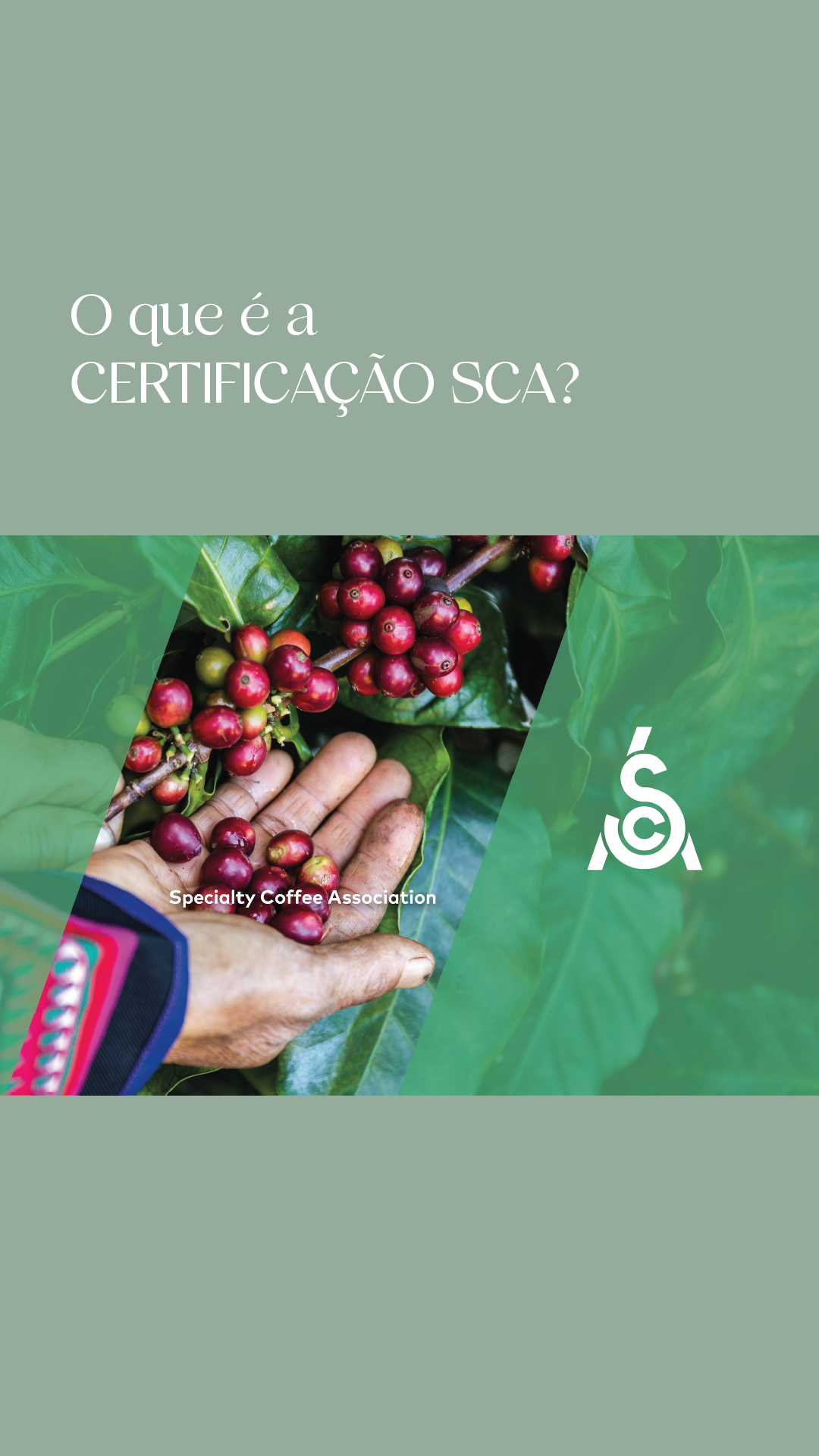Certificado SCA